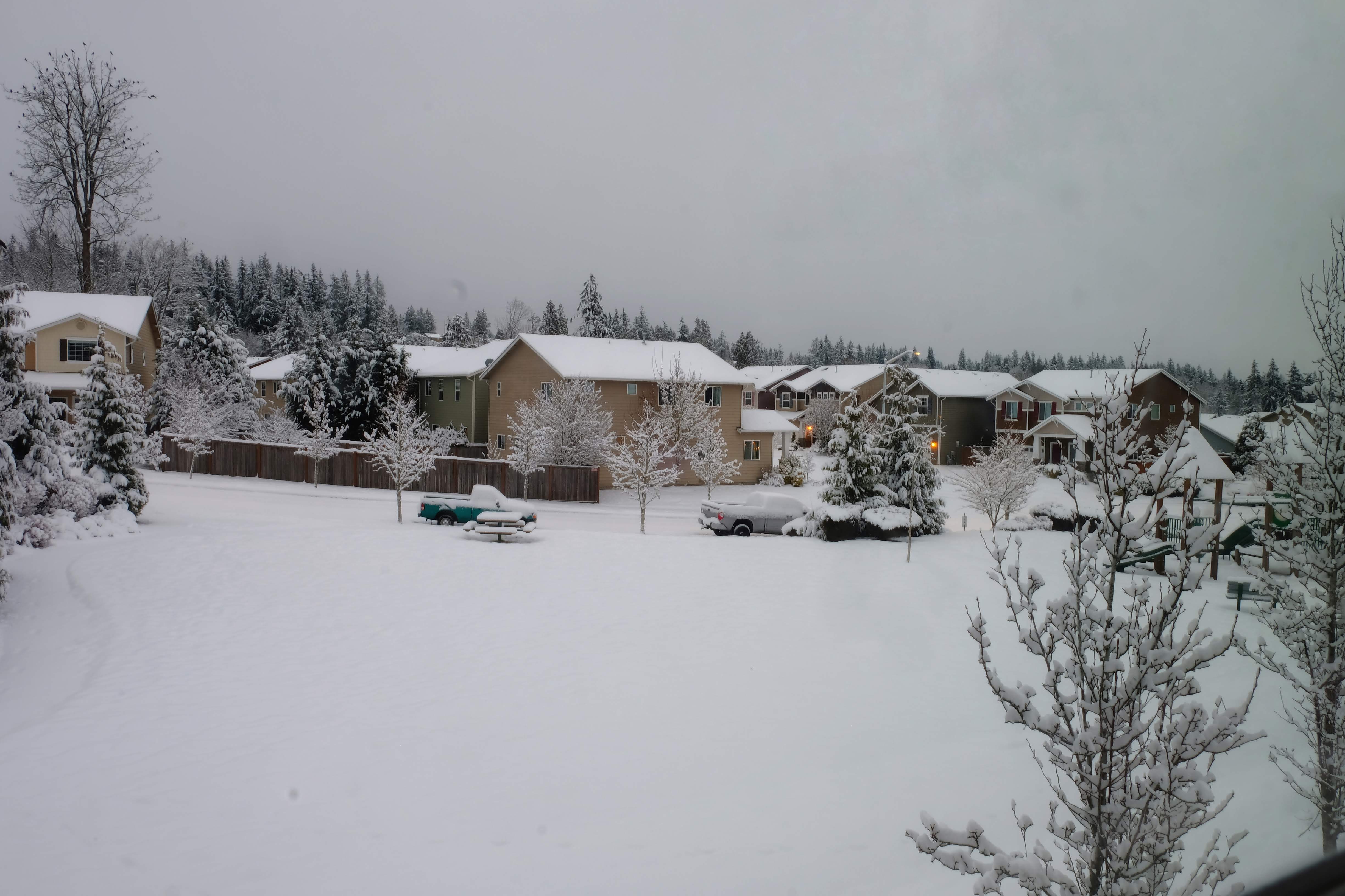 Snowmageddon Seattle 2019 – lazylens.com